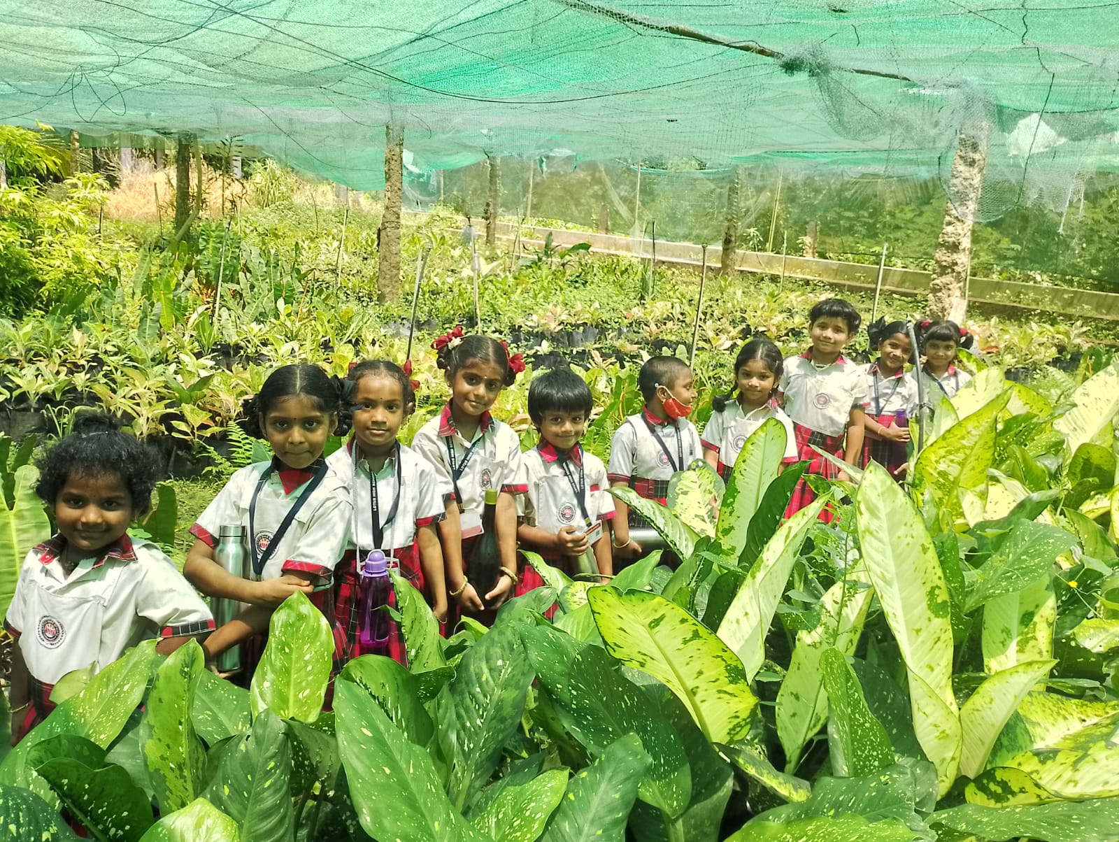 1st and 2nd Class Students Visited to Nursery as a part of Lesson ...